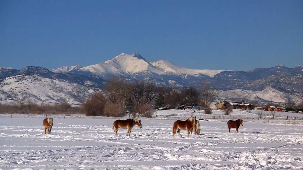 WINTER IN LONGMONT 2011 - YouTube