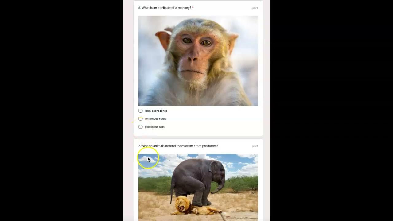 Never Smile at a Monkey Comprehension Test - YouTube