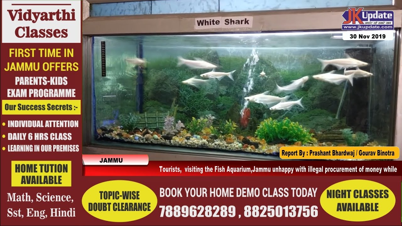 Tourists, visiting the Fish Aquarium,Jammu unhappy with illegal ...