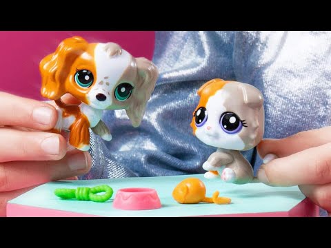 Opening LPS waves 3 pet pairs look alike set ~ G7 spaniel and Scottish ...