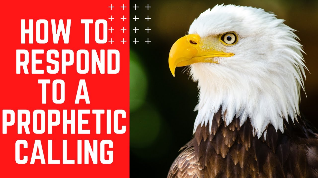How to Respond to a Prophetic Calling | Apostle Bongani Blacksmith ...