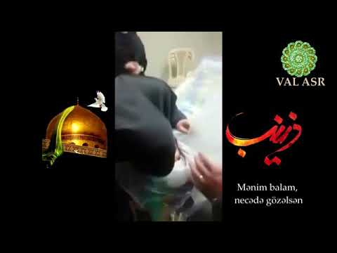 Xanım Zeynəb(s.ə) hərəmin qoruyarkən şəhid olan övladının cənazəsi ilə danışan Ana