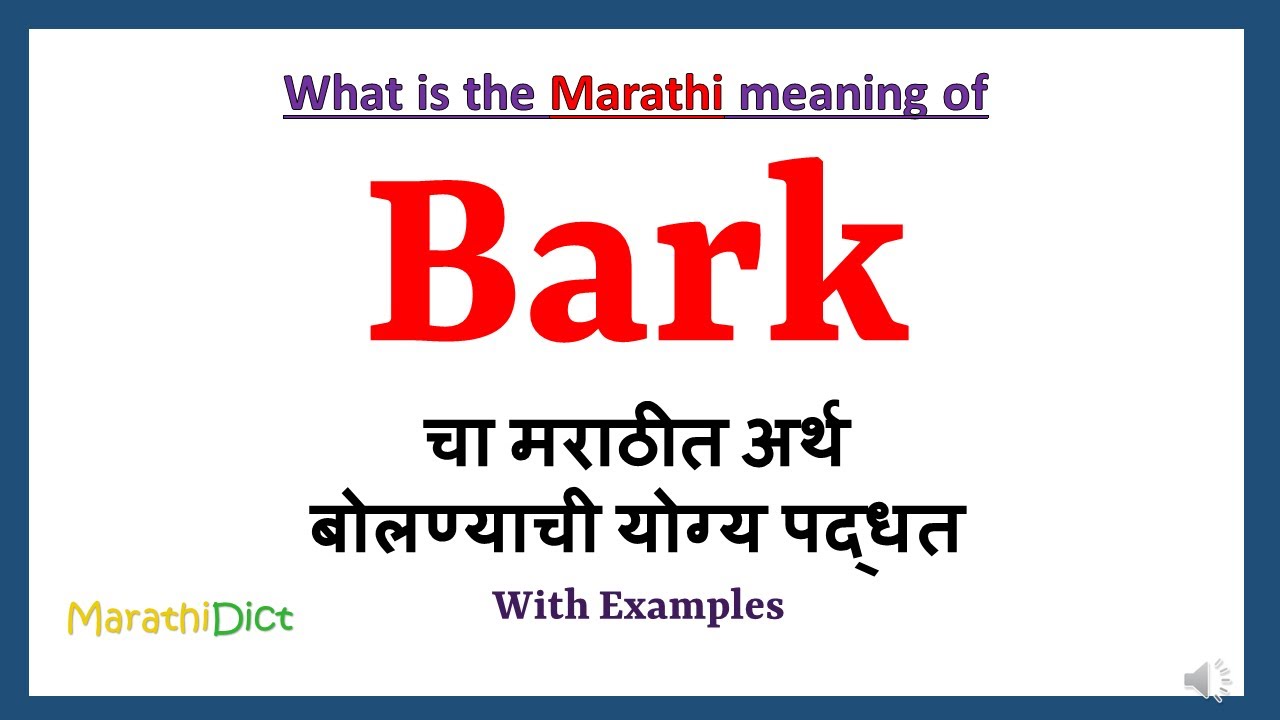Bark Meaning in Marathi | Bark म्हणजे काय | Bark in Marathi Dictionary ...