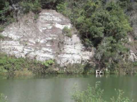 Cliff jumping in Ocala - YouTube