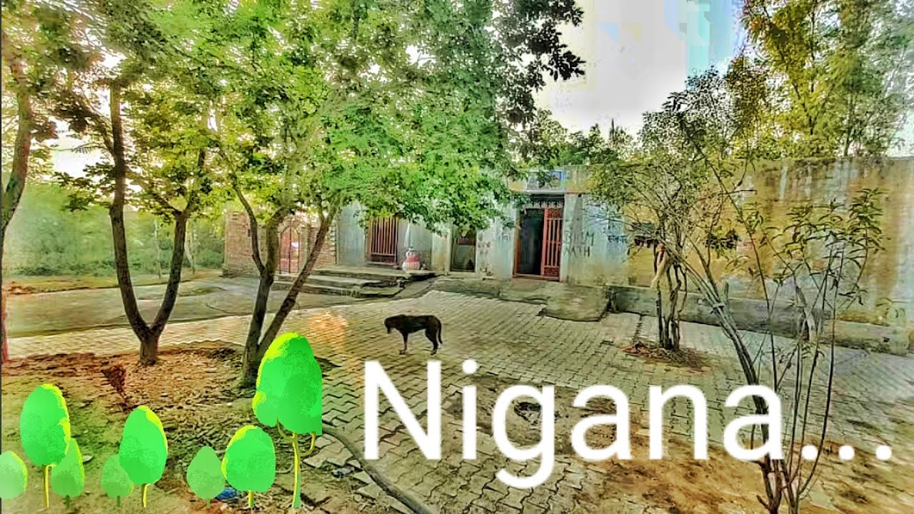 निगाना डेरा बाबा भीमनाथ Nigana (Rohtak).124113 - YouTube