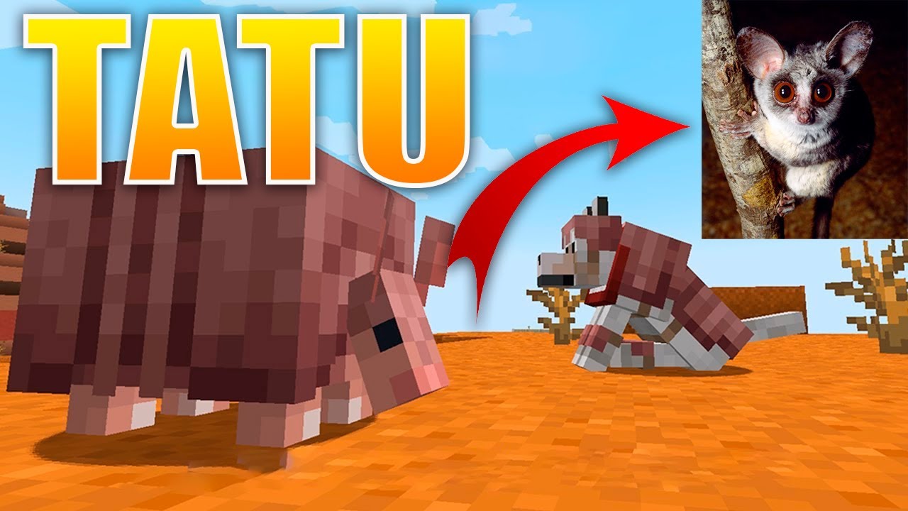 Adicionaram o TATU do Minecraft! Tudo sobre ele aqui - YouTube