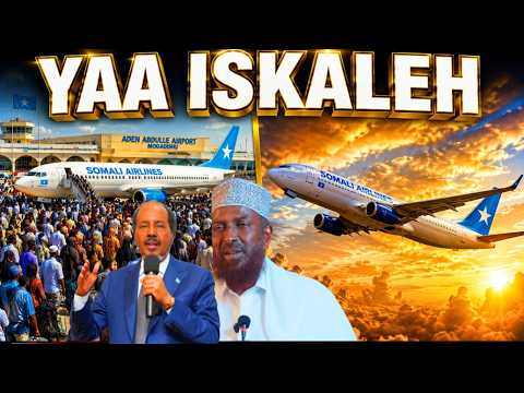 DIYAARADDA SOMALI AIRLINE YAA ISKALEH? 