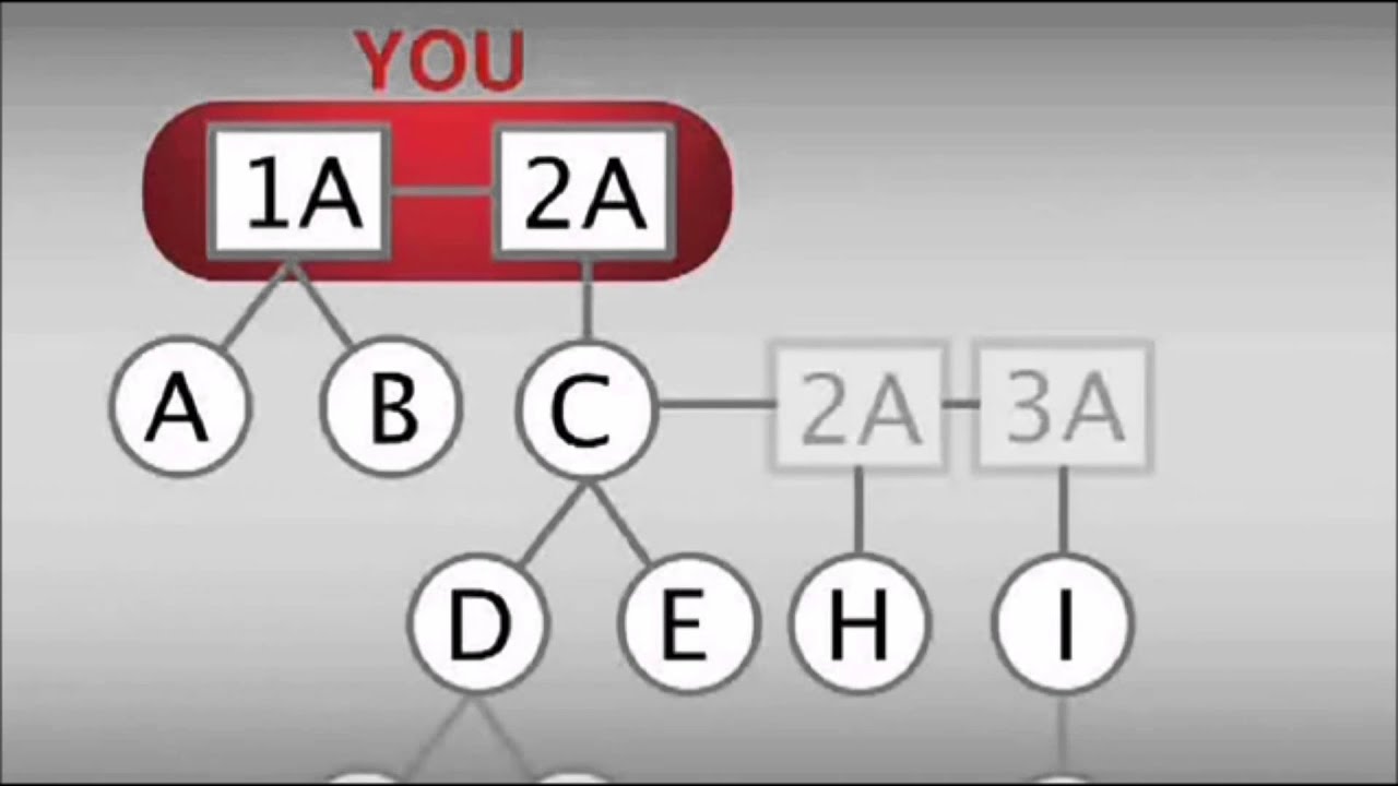 Enagic Marketing Compensation Plan - YouTube