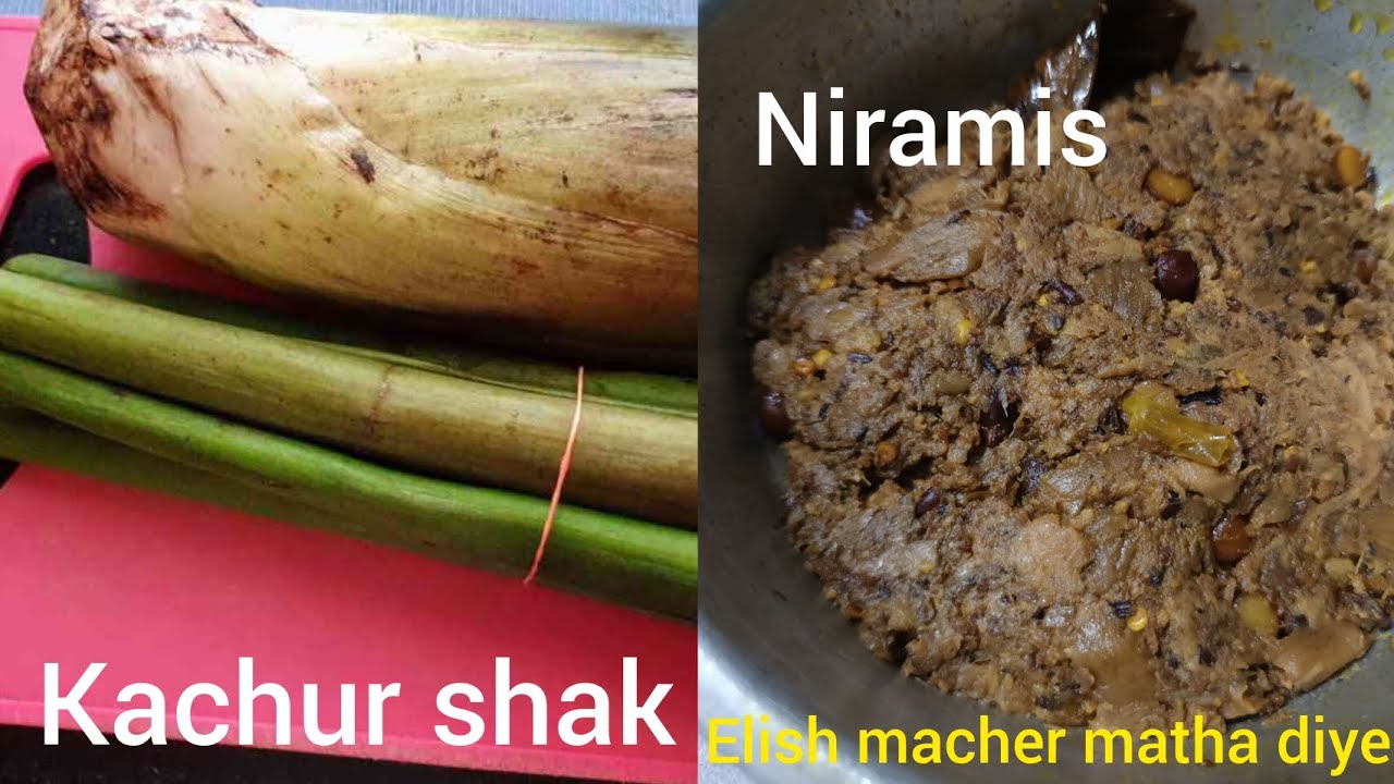 কচু শাক l Traditional Bengali elish macher matha diye recipe Kachu Shak ...