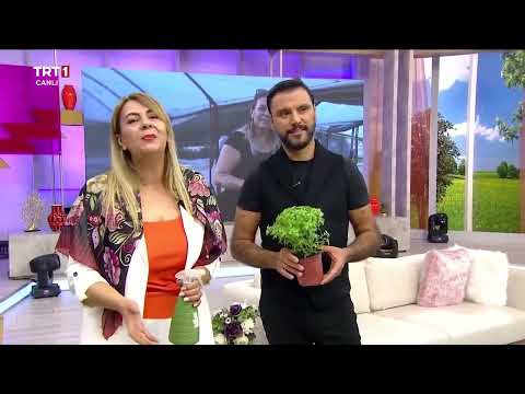 Biz kadınlar, her zorluğun üstesinden gelmeyi biliyoruz