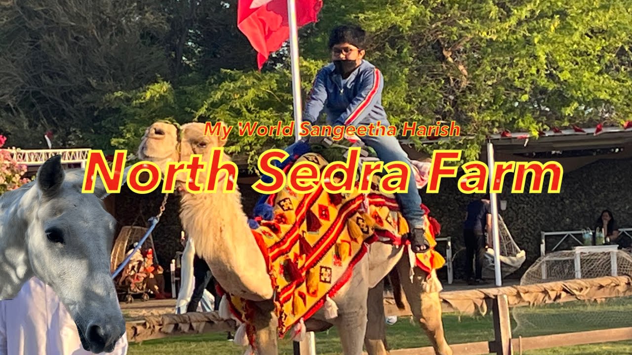 North Sedra Farm Qatar / A weekend getaway at the North Sedra Farm ...