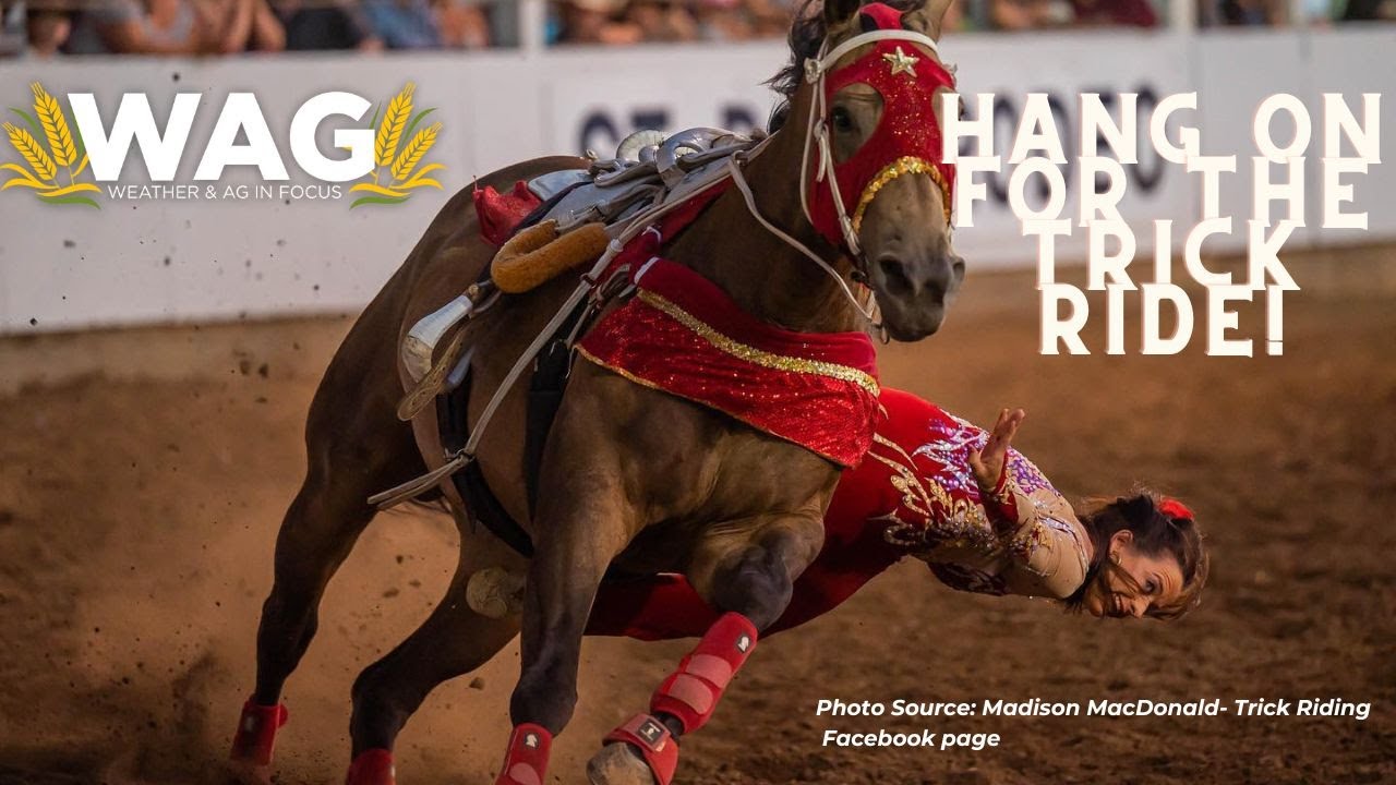 Hang On for the Trick Ride! (8/23/23) - YouTube