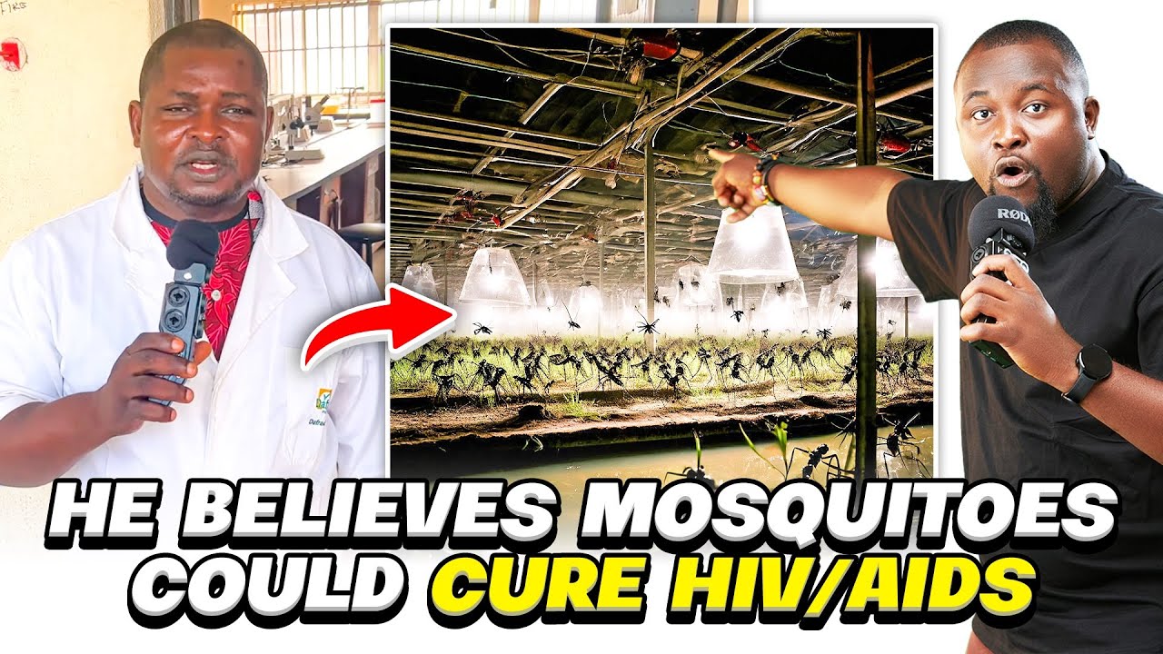 He built a mosquito farm in Nigeria. He believes it has a cure for HIV ...