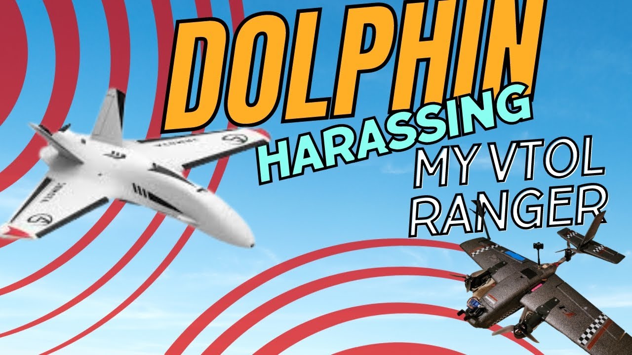 Heewing RANGER VTOL flying with an ATOMRC DOLPHIN - YouTube