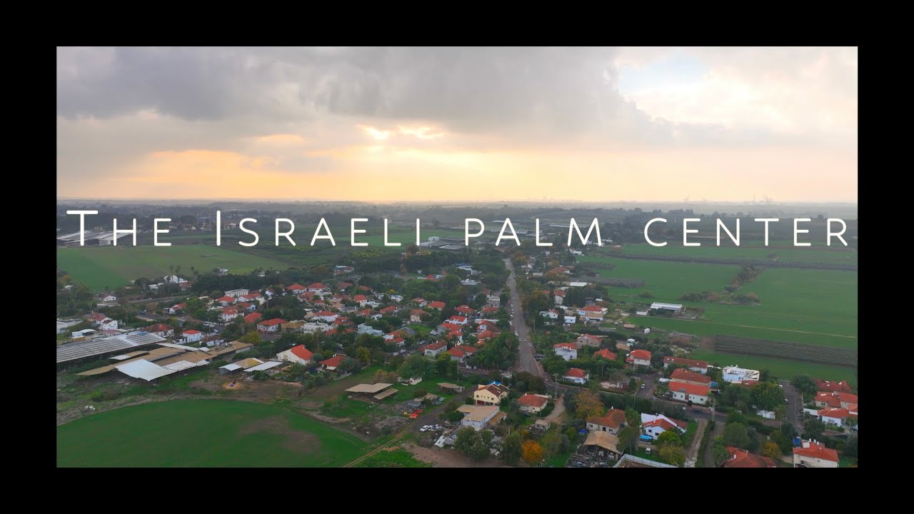 The Israeli palm center - YouTube