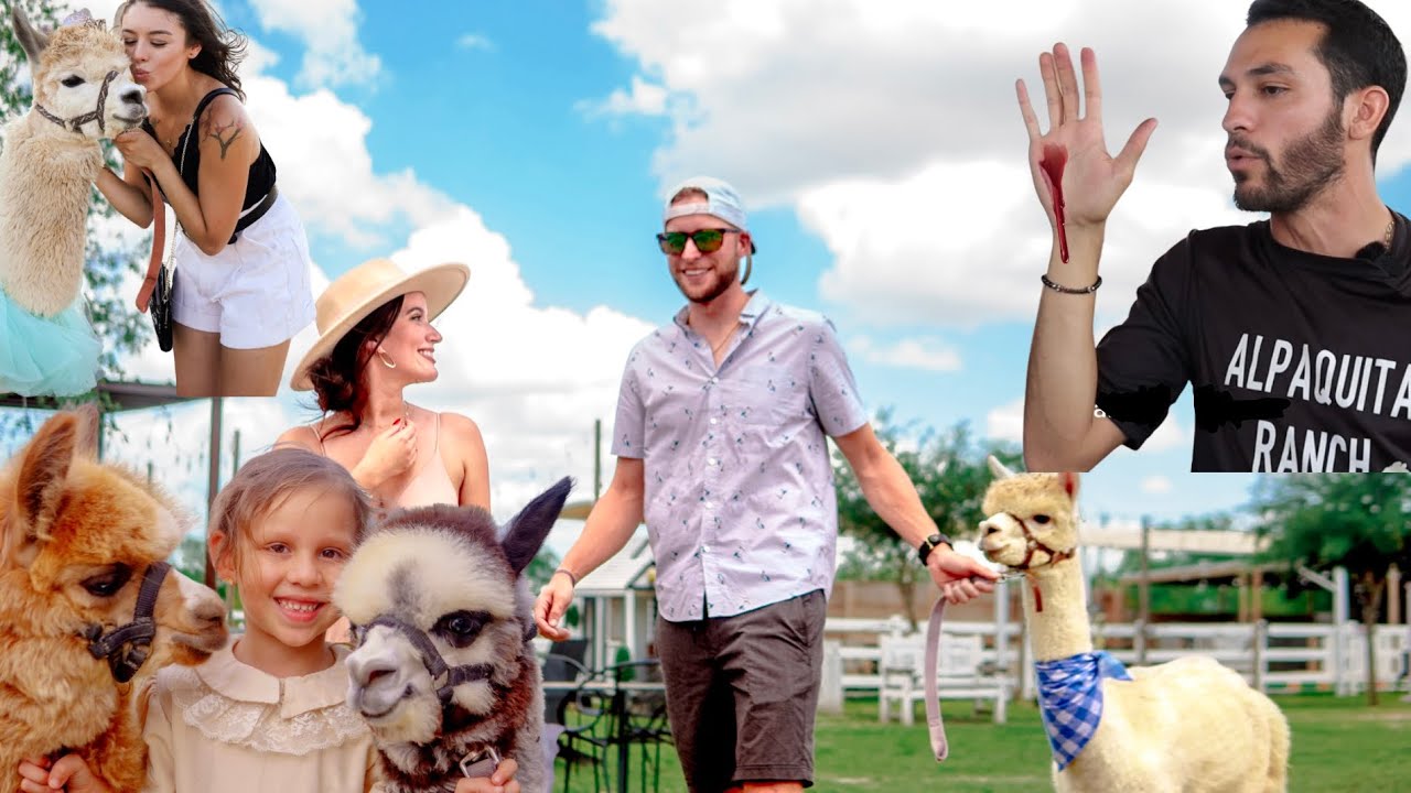 #1 Alpaca Farm in TX! - Life w/ Alpaquita’s Ep. 1 - YouTube