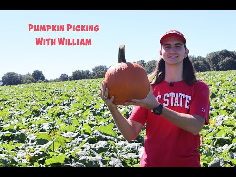 Pumpkin Picking with William - YouTube