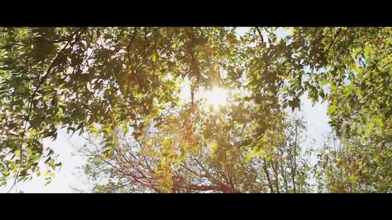 Observer Drift- Corridors [OFFICIAL MUSIC VIDEO] - YouTube