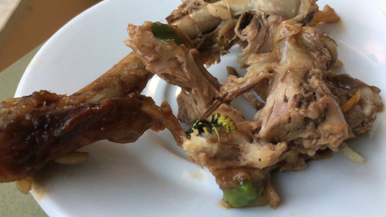 German Wasp collecting chicken meat at Corfu Island - YouTube