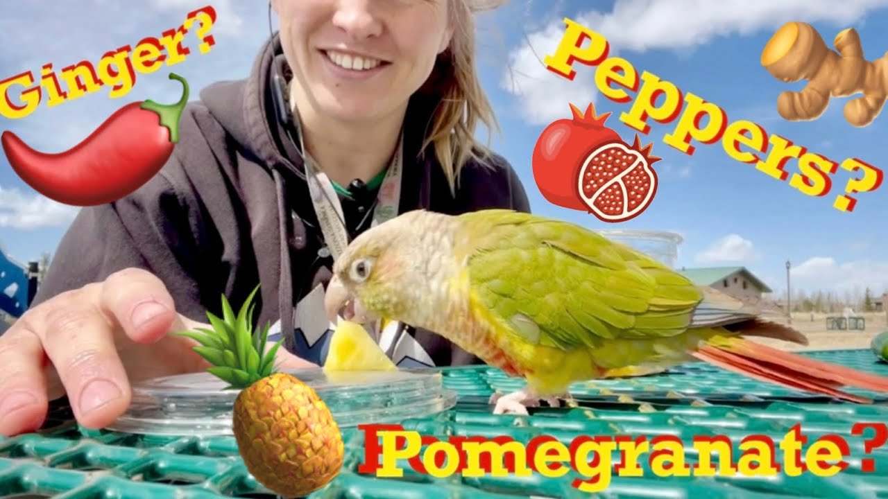 Easter Picnic Taste Test - YouTube