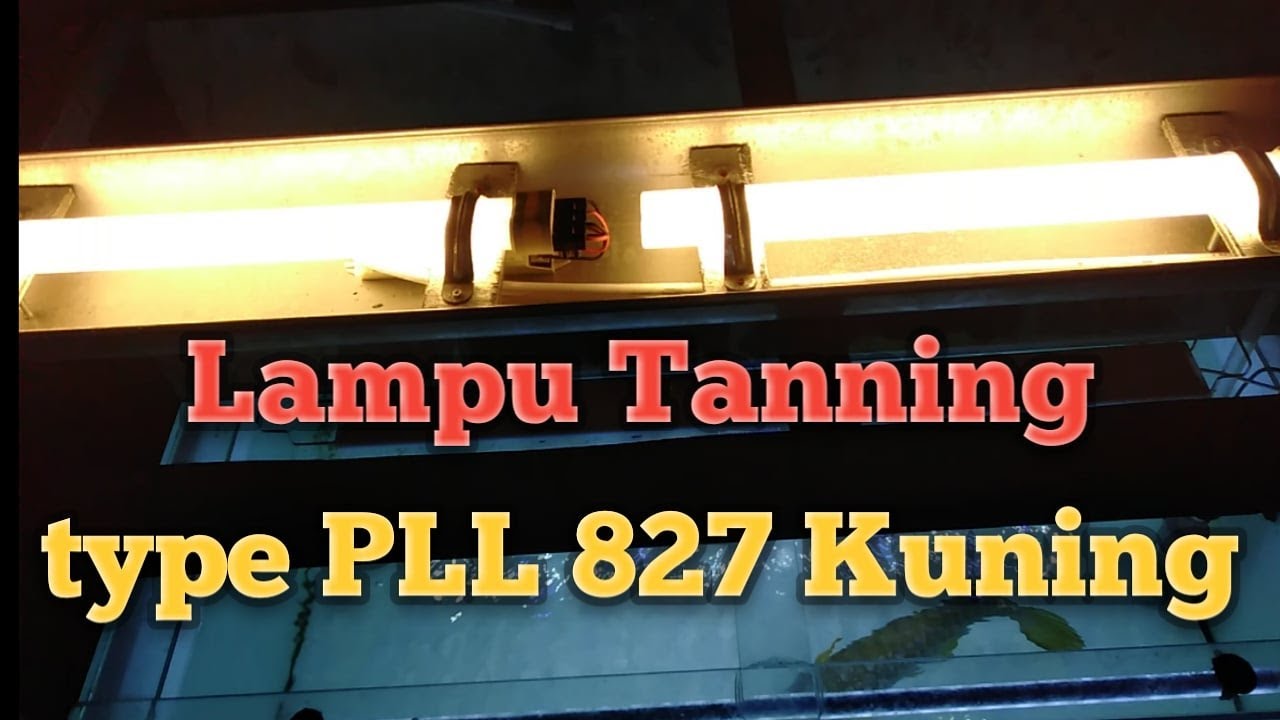 Ganti Lampu tanning dengan lampu PLL Poland type 827 (kuning) - YouTube