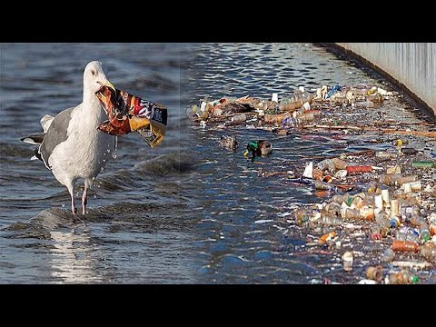 Qlobal ekoloji problem. Ətraf mühitin çirklənməsi (SƏSLİ) #7.ciqitə #nature #pollution #ekologiya