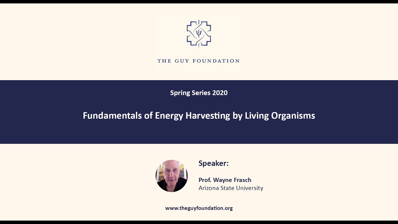 Professor Wayne Frasch (2020) - YouTube