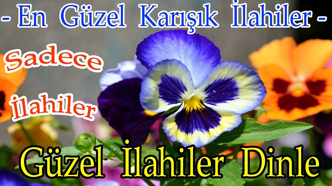 🌹En Güzel İlahiler🌹Karışık İlahiler🌹Müziksiz İlahiler 2022🌹Yeni Ağlatan ...