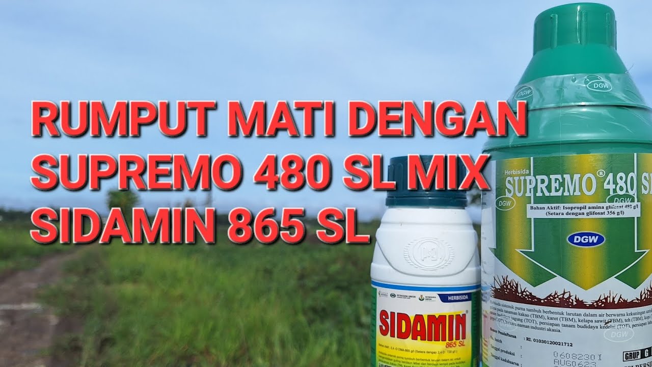 RUMPUT MATI SUPREMO 480 SL MIX SIDAMIN 865 SL - YouTube