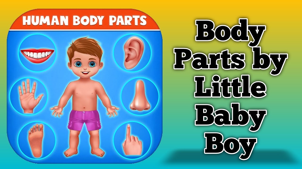 Body Parts Name YouTube Body Parts Name YouTube