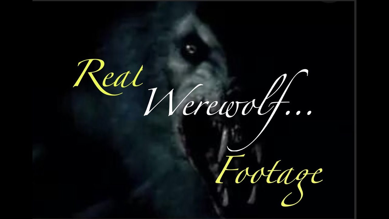 Werewolf the Podcast: Real Dogman Sighting Captured on Film Review by ...