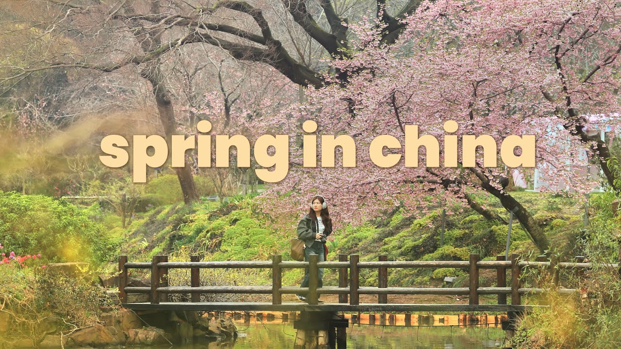my birthday trip to china | spring travel vlog in wuxi, nanjing ...