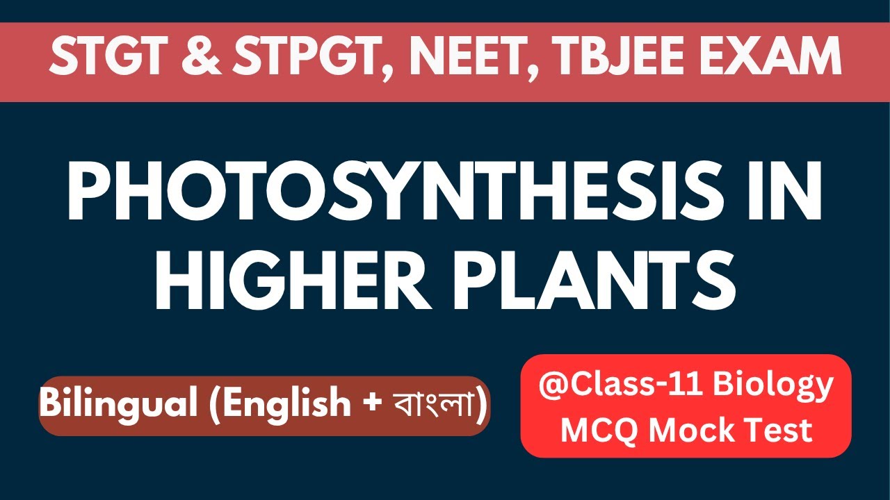 Photosynthesis MCQ | NEET | AIIMS | STGT | STPGT | TBJEE | C3, C4 & CAM ...