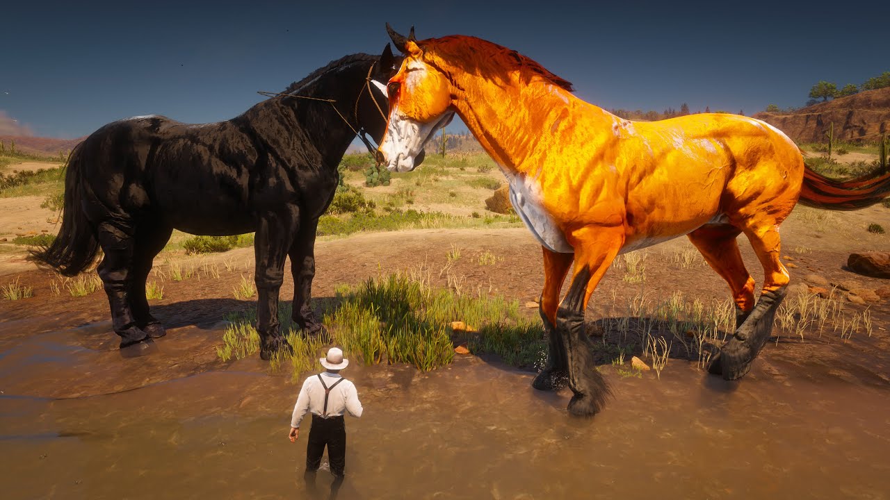 Arthur Morgan's Wild Ride | Taming the Legendary Black Shark And Fox ...