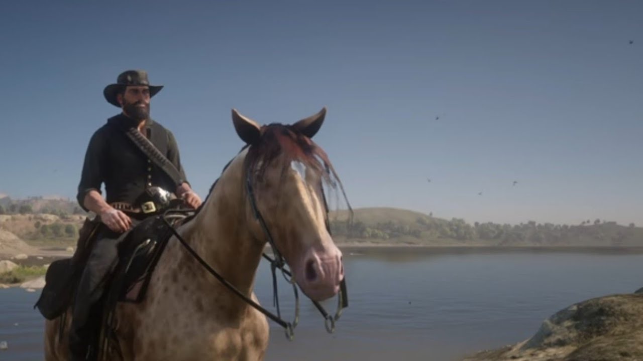 RDR2 - relaxing walking from Blackwater to Observatory, New Hanover ...