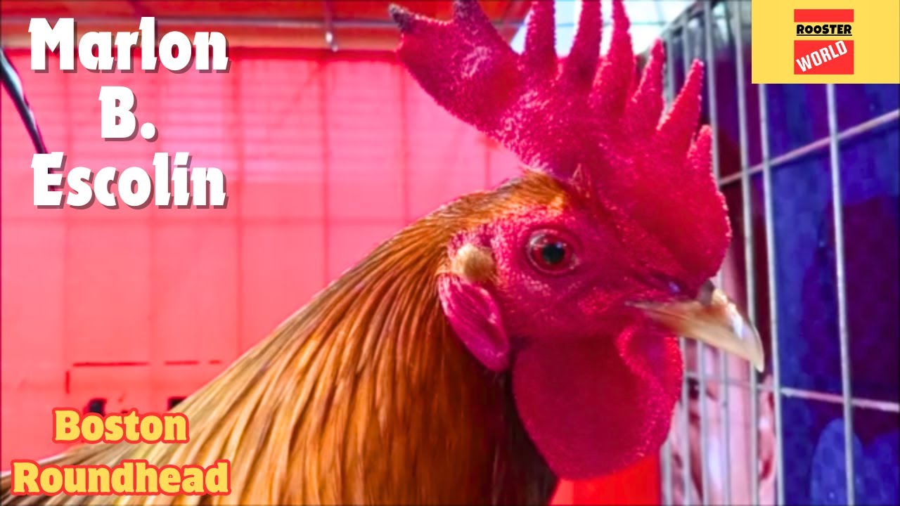 Marlon B. Escolin - YouTube
