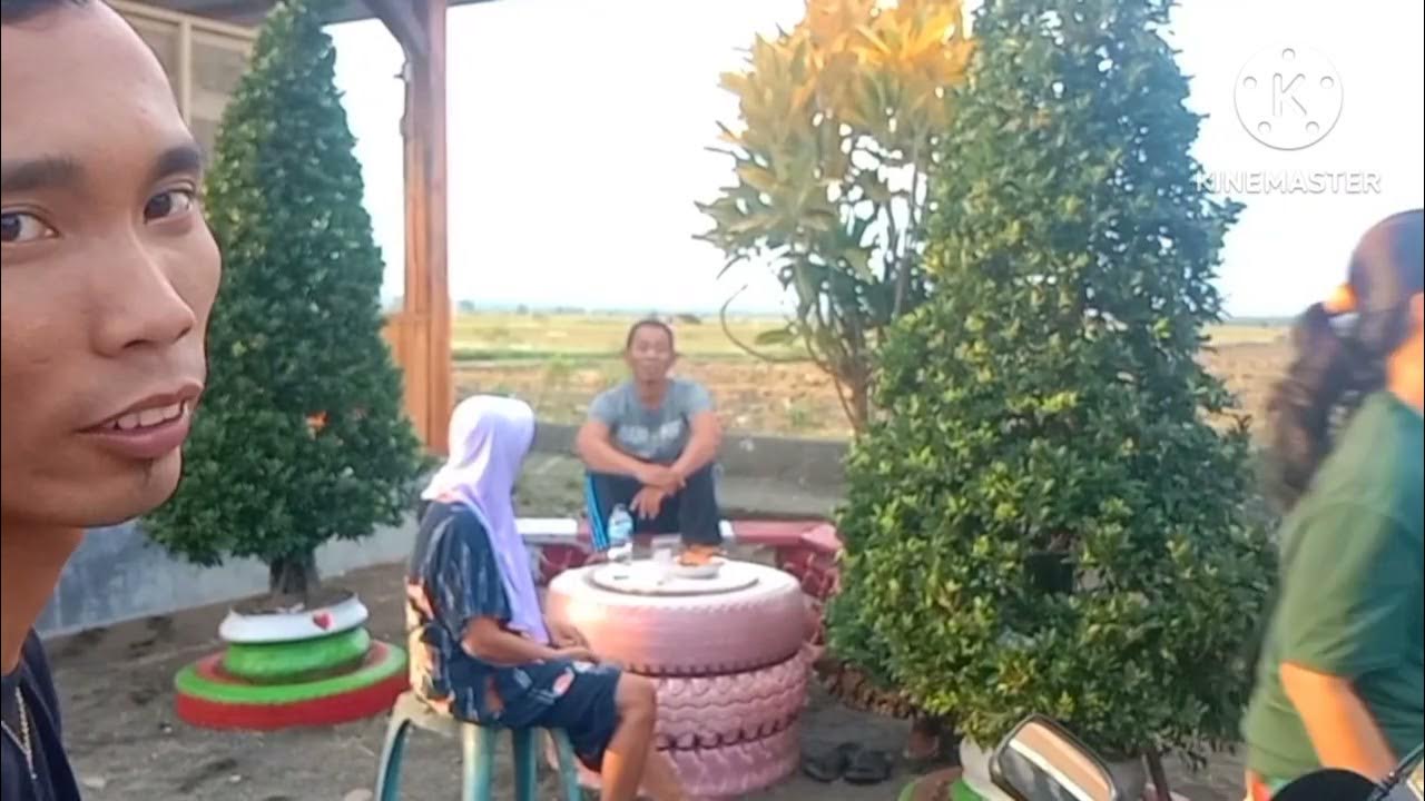 wisata sawah terbaru Desa Sumberharjo Kecamatan Moilong // AGRO EKOLOGI BURUNG HANTU - YouTube