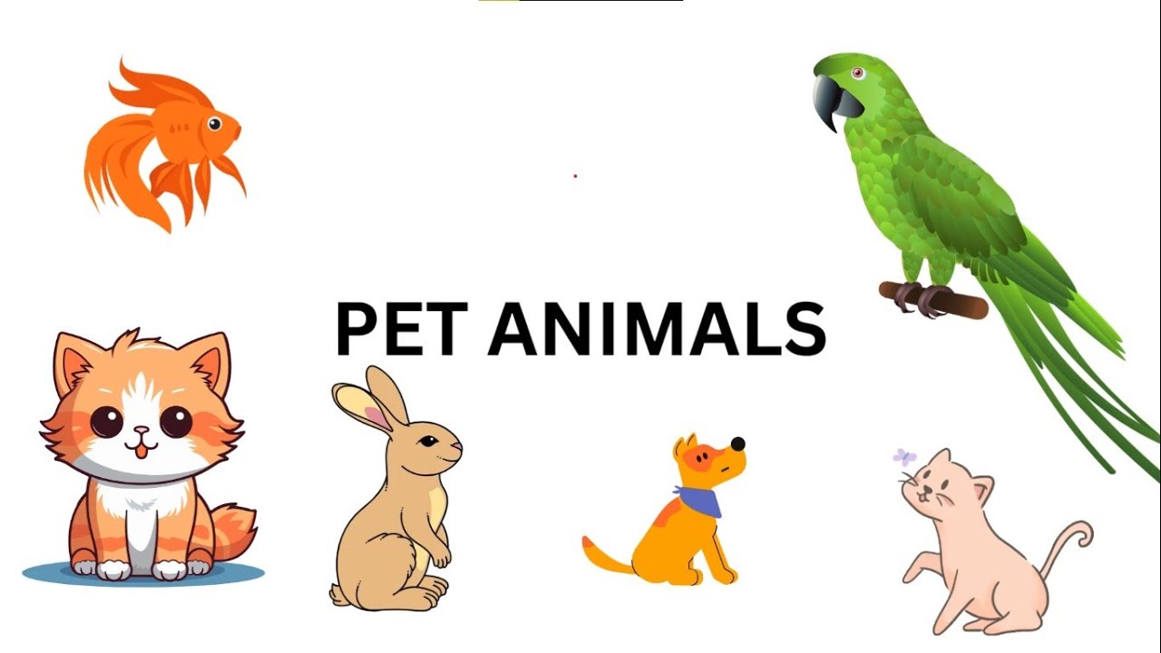 Learn Pet Animals - YouTube