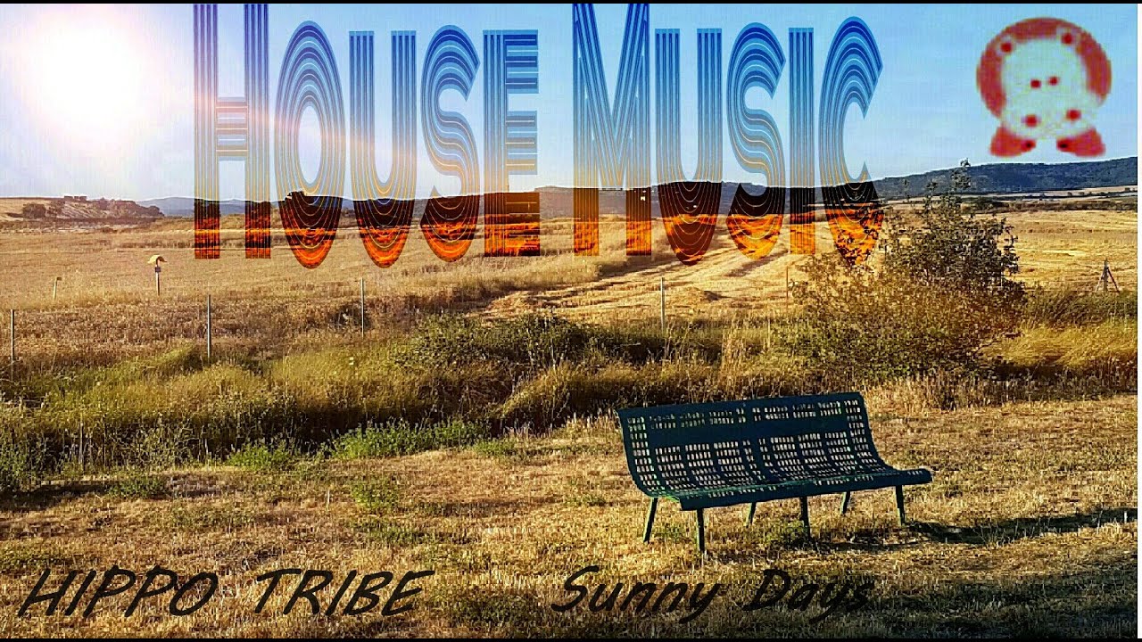 Hippo Tribe - Sunny Days - YouTube