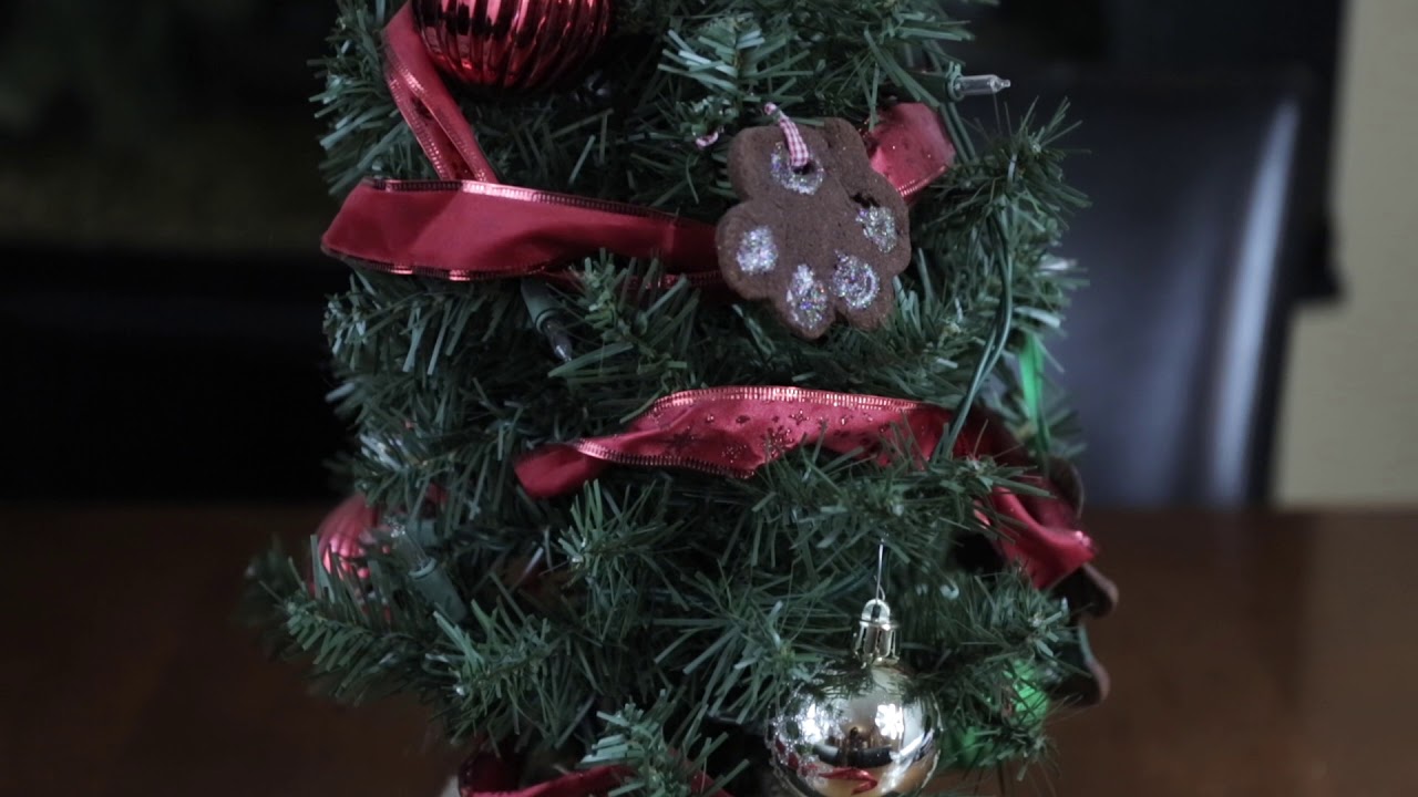 Quick Test Canon 5D MKiii Christmas Tree - YouTube