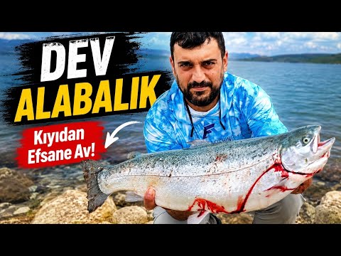 Kıyıdan böyle alabalık tutulmaz dediler! #troutfishing #salmon 
