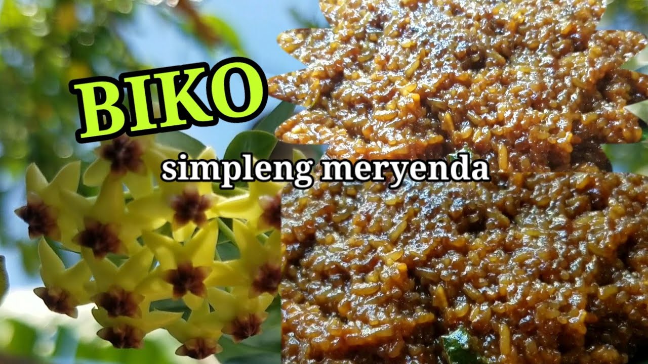 BIKO/SIMPLENG BIKO LANG/buhay probinsya/ countryside life/ sweet rice cake/glutinous rice - YouTube