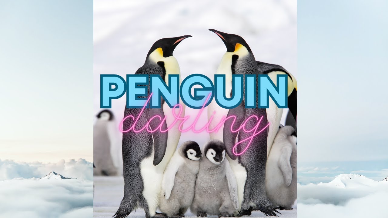 Parenting tips for Penguins - YouTube