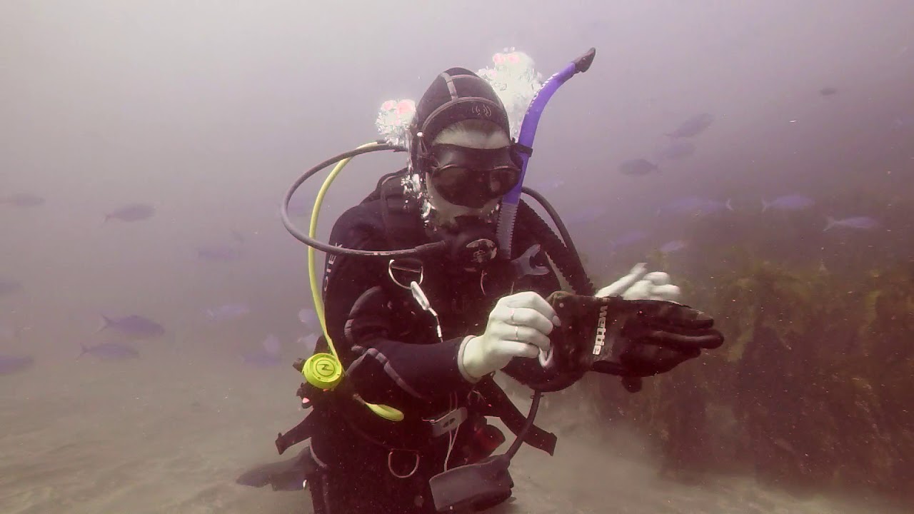 White Island with Auckland Scuba - YouTube