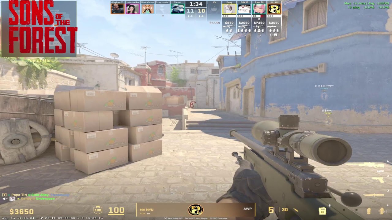 PIESEN RANK DETERMINATION CS2 - YouTube