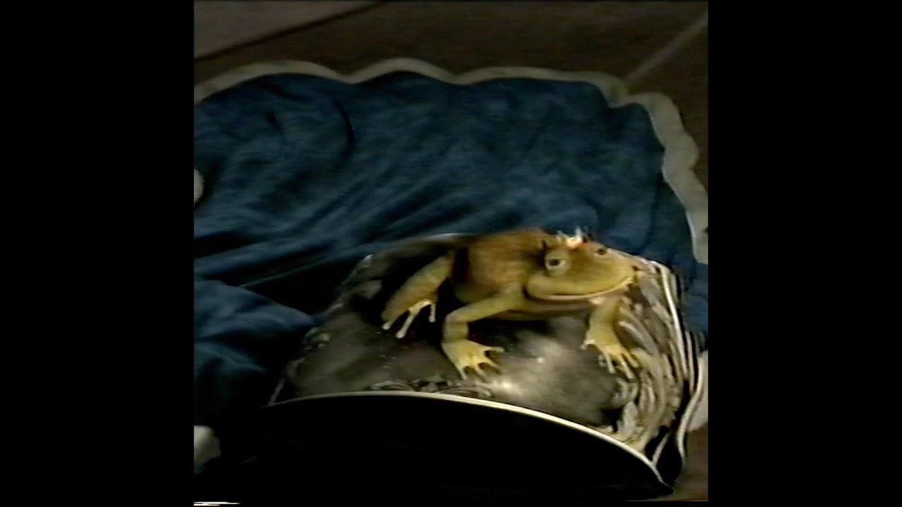 Shrek 2: Frog King (2004) (VHS Capture) - YouTube