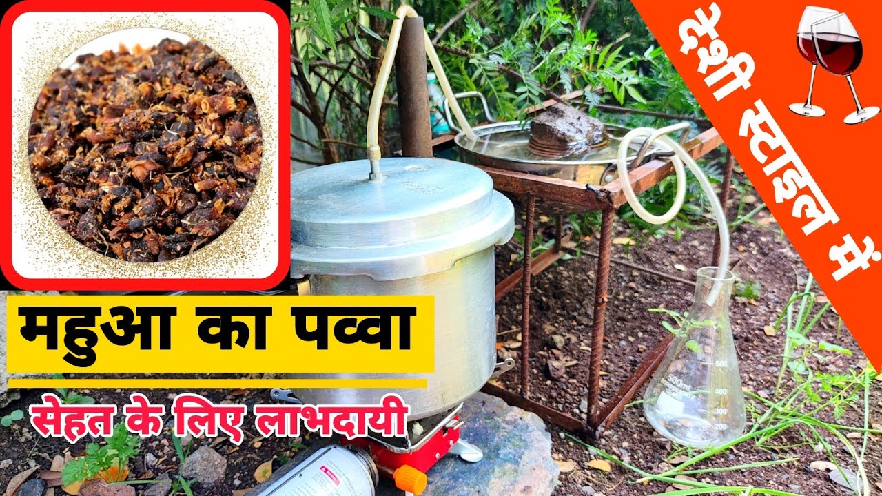 महुआ की देशी शराब बनाना सिखिये गांव की अंदाज़ में Learn How To Make ...