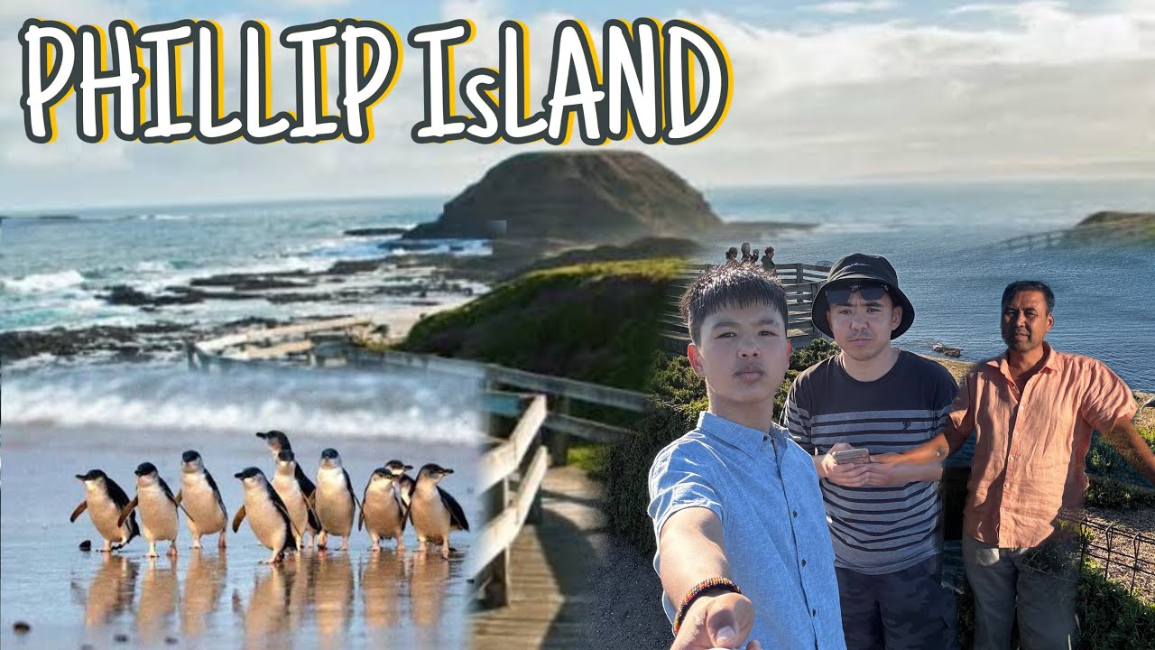 Tour to Phillip Island Melbourne Australia || penguin Parade || with ...