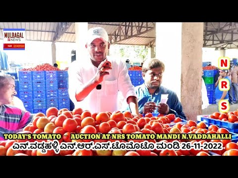 today's tomato rate at N.VADDAHALLI NRS tomato Mandi AUCTION 26-11-2022 ...