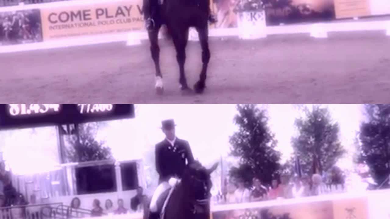 You Didn't Have to Stoop so -Low- - YouTube